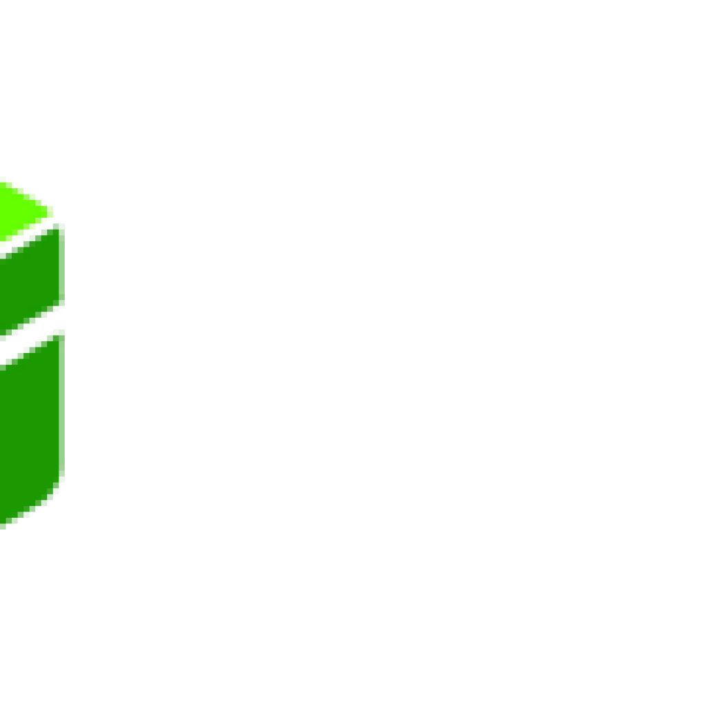Logo-Bisesa-White | BISESA Contractor